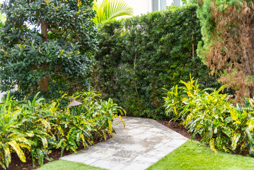 Insect Pest & Plant Disease Control by Dias Brothers Landscape Services ...