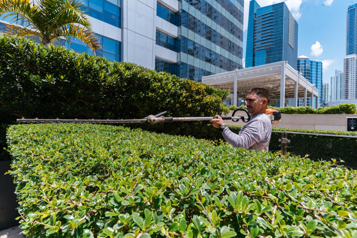 Commercial Landscape Maintenance by Dias Brothers Landscape Services ...